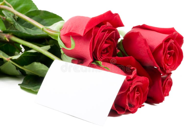 Red roses 1 stock photo. Image of interflora, arranging - 33076