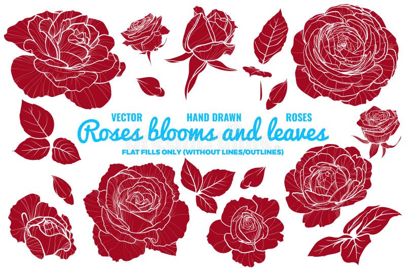 Vector Flat Fill Roses Blooms and Leaves Isolated on White Background ...