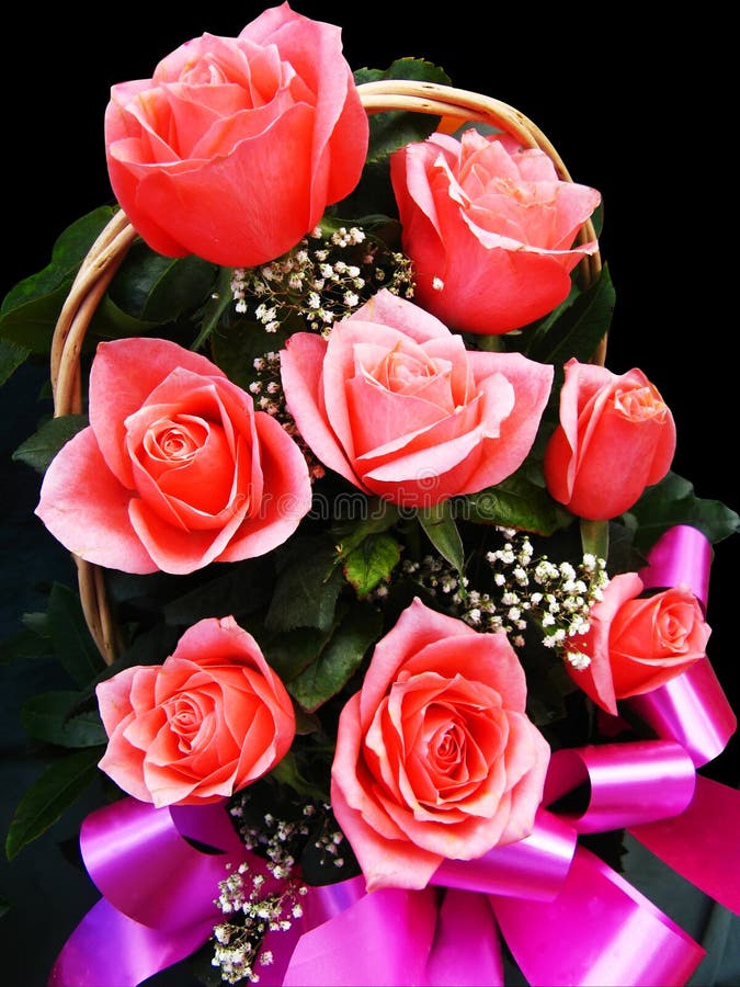 Pink roses stock image. Image of roses, wife, valentine - 450285