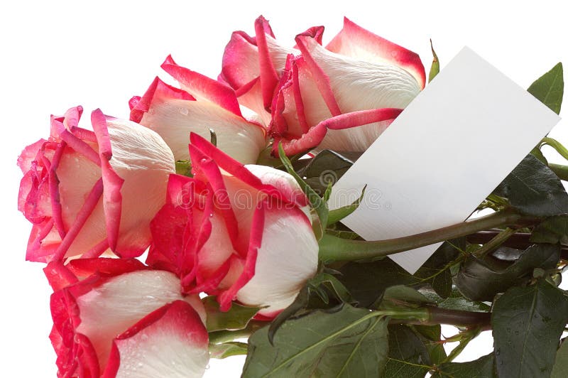 Roses bouquet with card stock image. Image of paper, floral - 4767211