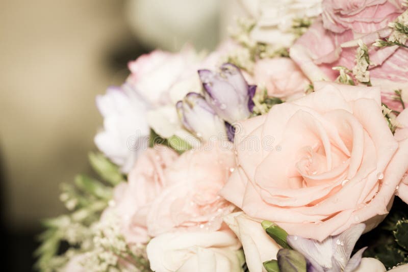 Roses bouquet stock photo. Image of waterdrop, petal - 48493930