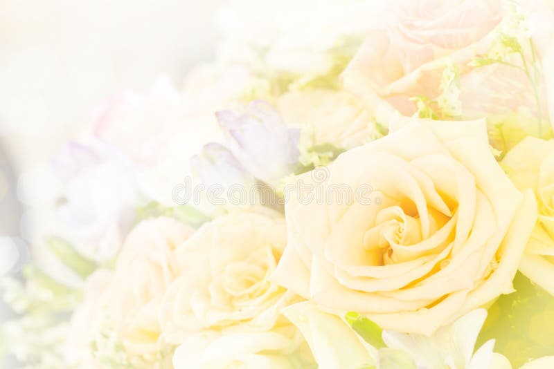 Roses bouquet stock image. Image of beautiful, nature - 48493935