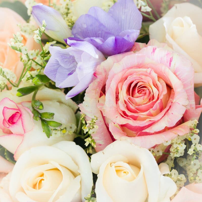 Roses bouquet stock image. Image of abstract, background - 48494125
