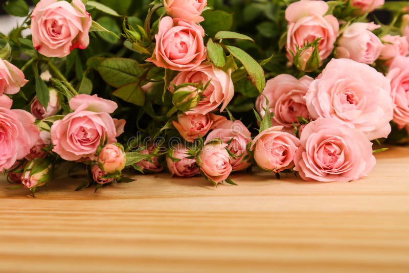 Roses stock photo. Image of bunch, closeup, elegant, fragrance - 39337392