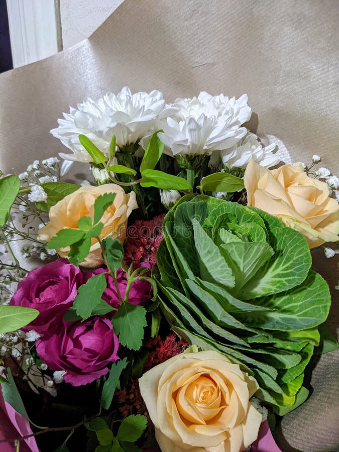 Roses and cabbage stock image. Image of lilac, pink - 257081129