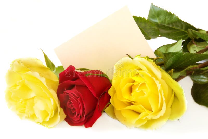 Bouquet and card stock image. Image of sweetheart, desire - 30331