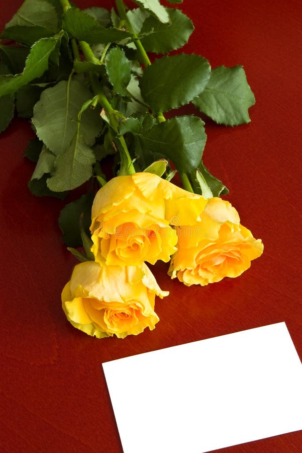 Roses and card stock photo. Image of elegant, simple, beautiful - 6938338