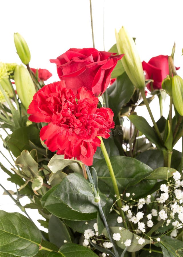 Roses and Carnations in Bouquet Stock Photo - Image of blooming, summer ...