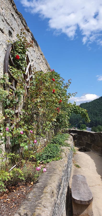 Roses in castle stock image. Image of estate, petal - 229170097