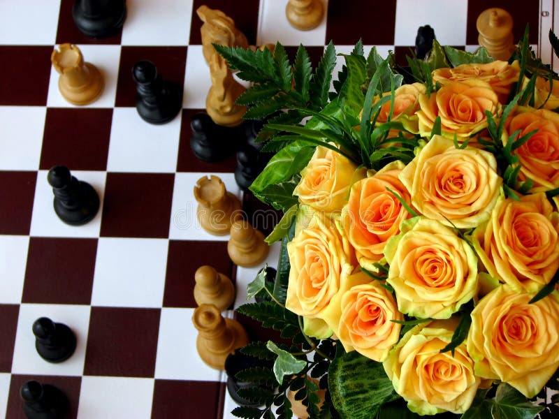 Roses on chess board stock photo. Image of blossoming - 8024326