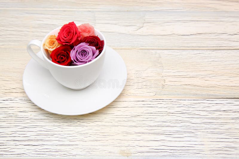 Roses in the coffee cup stock photo. Image of pink, nature - 120802720