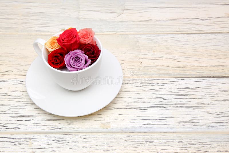 Roses in the coffee cup stock image. Image of drink - 123169235
