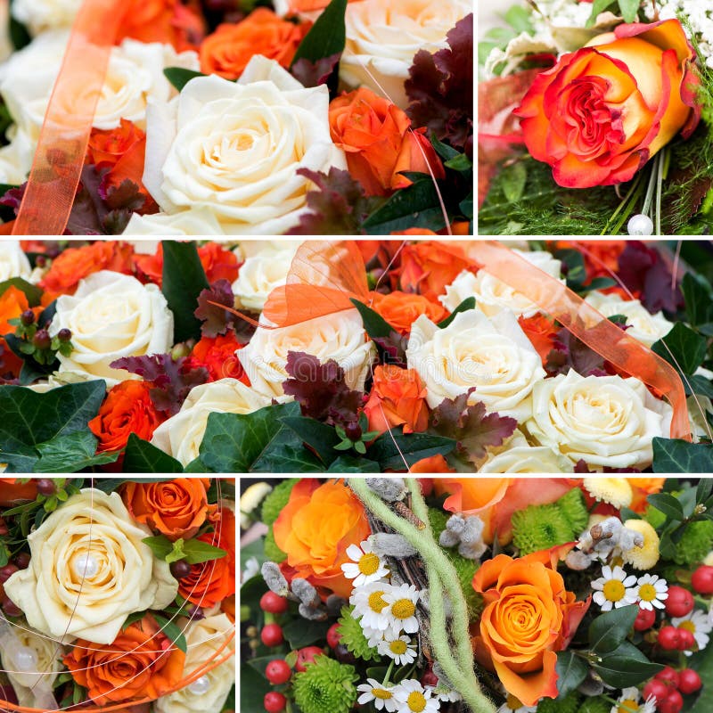 Roses collage stock photo. Image of emotion, collage - 37859912