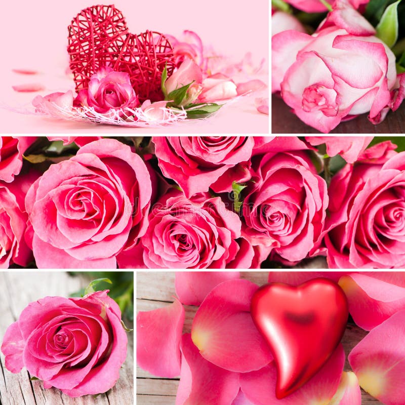 Roses collage stock image. Image of bouquet, marriage - 37859997