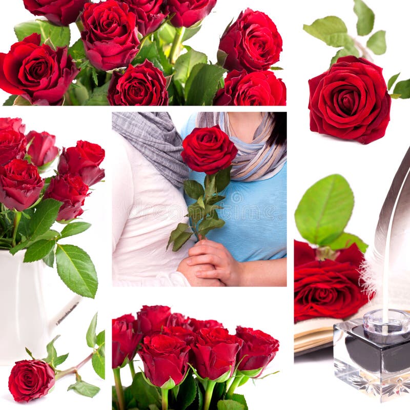 Roses collage - love stock photo. Image of young, beauty - 29099144