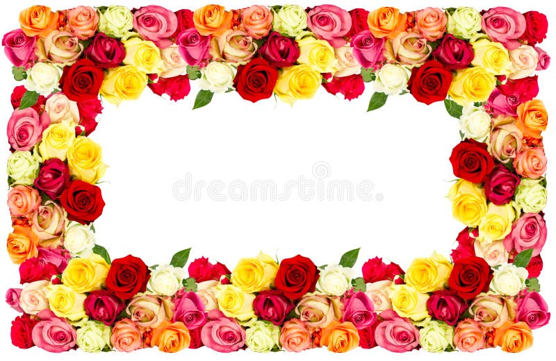 Roses. Colorful Flowers Frame Stock Photo - Image of bunch, girls: 18814984