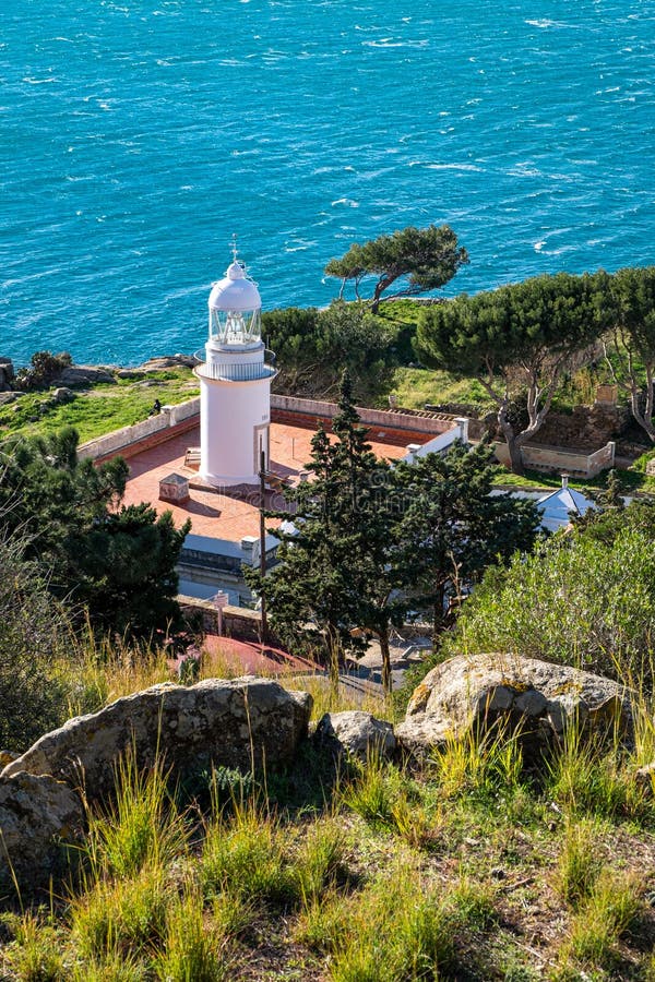 Roses on Costa Brava, Catalonia, Spain. Stock Image - Image of roses ...