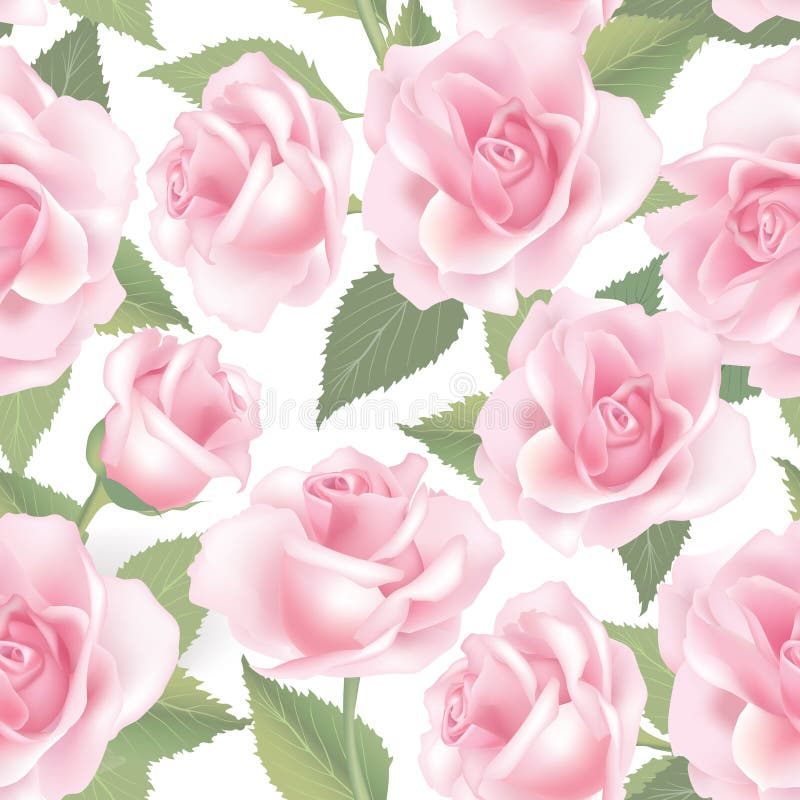 Roses De Fleur Fond Sans Joint Floral Configuration De Fleur ...