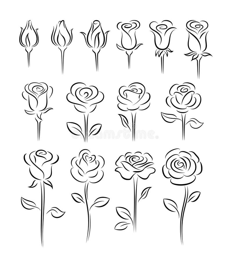 Roses design elements stock vector. Illustration of decor - 273979454