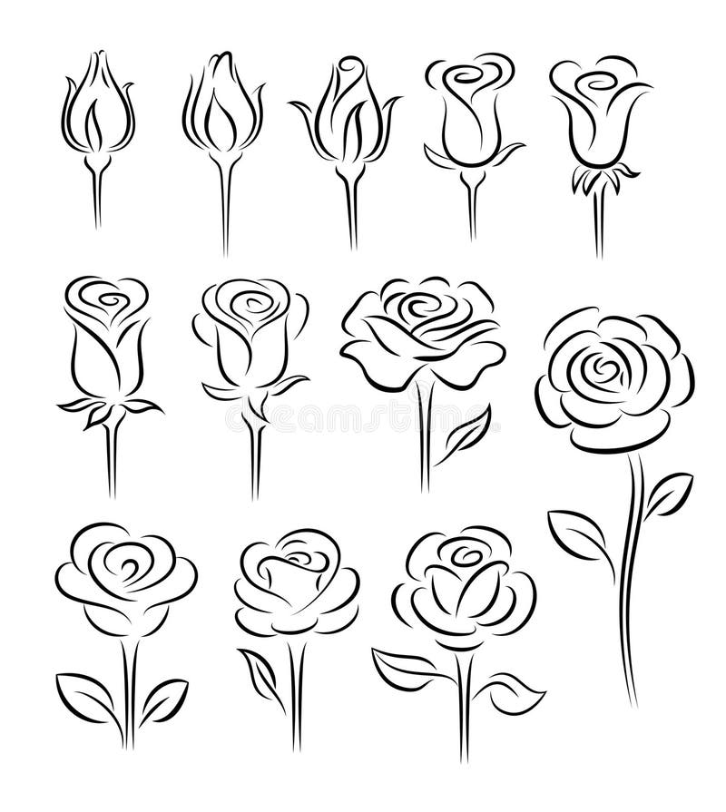 Roses design elements stock vector. Illustration of design - 274317112