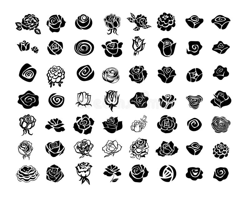 Roses design elements stock vector. Illustration of natural - 267635014