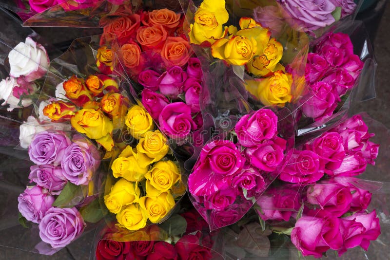 Roses of different colors stock photo. Image of bouquet - 72804084
