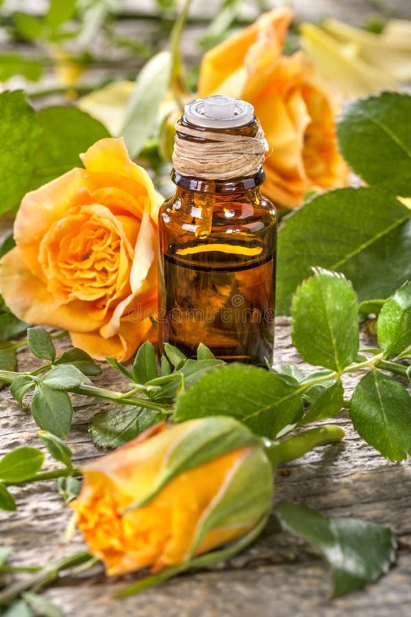 Roses essential oil stock image. Image of pharmacy, bottle - 71895853