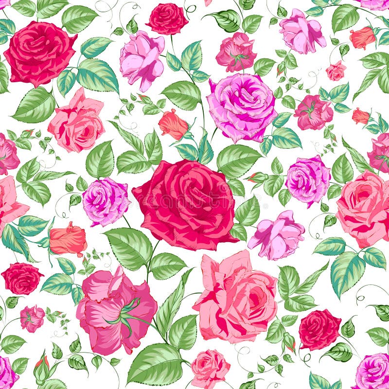 Seamless Pattern with Pink Roses. Vector Illustrat Stock Vector ...