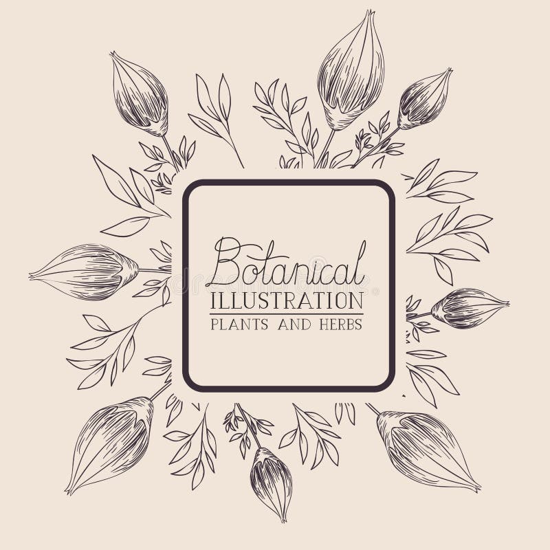 Roses Flowers Decorative Square Frame Stock Vector - Illustration of ...