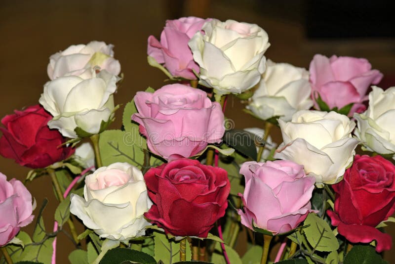 Roses stock image. Image of flowers, roses, life, wedding - 42714997