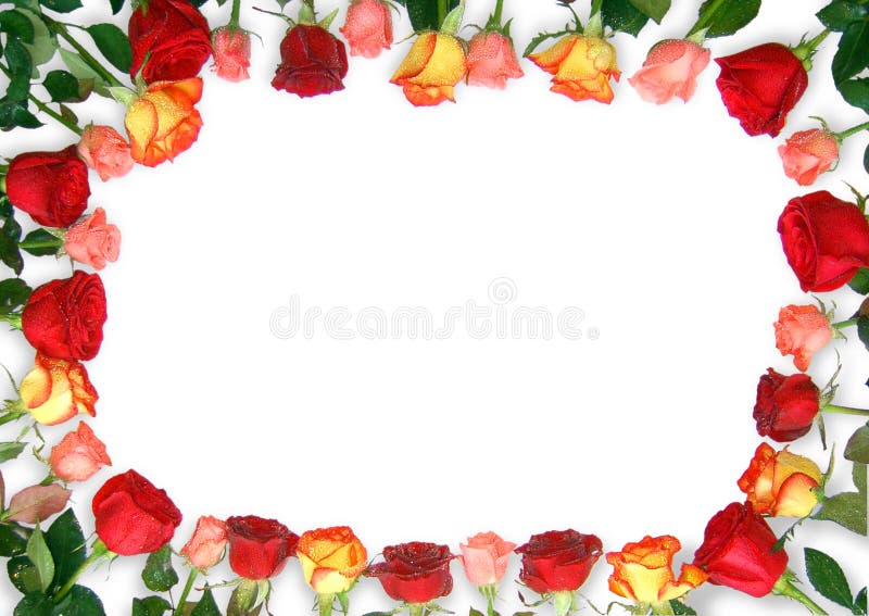 Red roses frame stock image. Image of pattern, empty, roses - 5107935