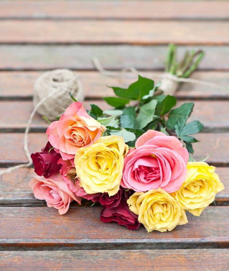 Roses from the garden stock image. Image of surprise - 33913459