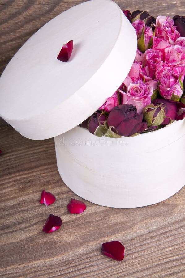 Roses in gift box stock photo. Image of shot, valentine - 39966534