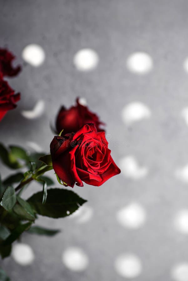 171 Gobo Light Stock Photos - Free & Royalty-Free Stock Photos from ...