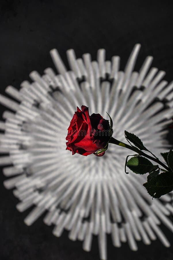 244 Gobo Light Stock Photos - Free & Royalty-Free Stock Photos from ...