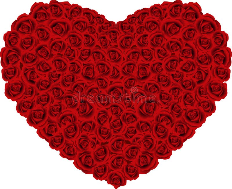 Roses heart stock vector. Illustration of beatiful, bunch - 18154831
