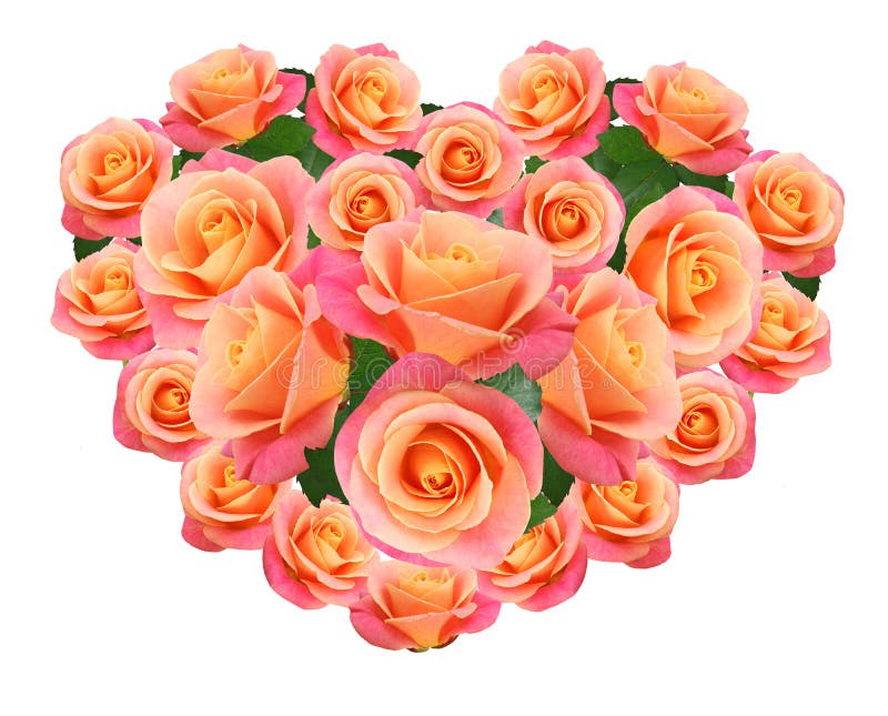 Roses in a heart shape stock image. Image of nature, ecology - 29347667