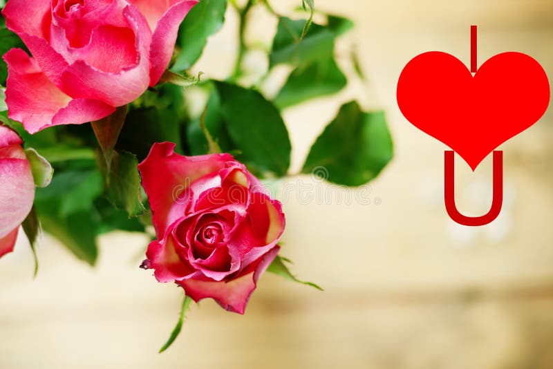 Roses, Heart Shape and Letters I and U Stock Image - Image of product ...