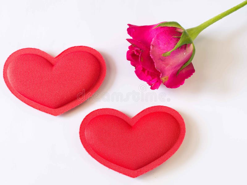 Roses and heart-shaped stock image. Image of valentine - 66576983