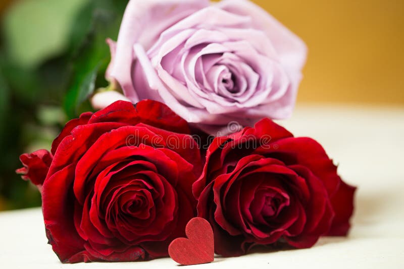 Roses with heart stock photo. Image of heart, flowers - 49417364