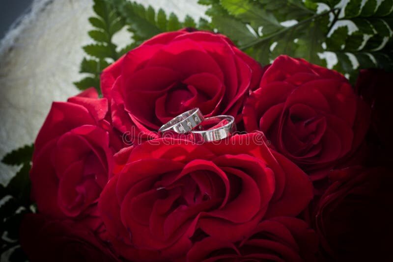 Roses in love with rings stock image. Image of wedding - 142240213
