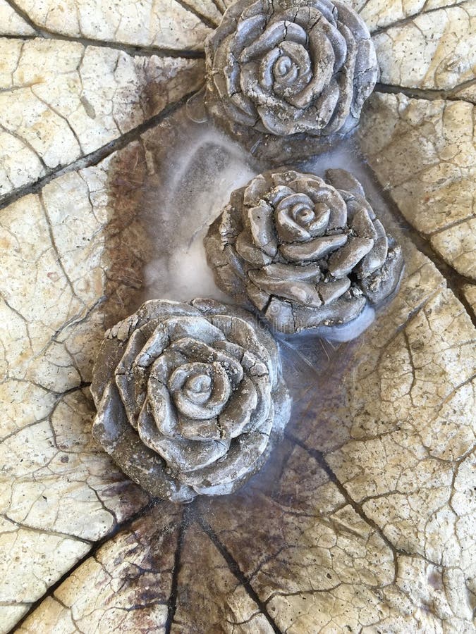 Roses stock photo. Image of roses, concrete, stone, artificial - 74306060