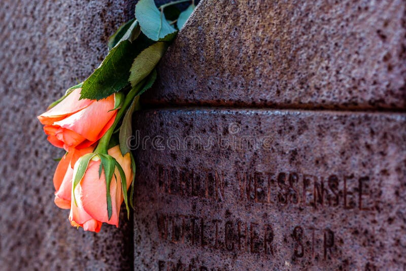 Roses on a memorial wall editorial stock photo. Image of tribute - 59662298