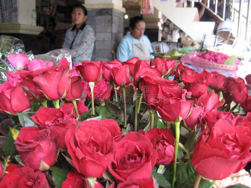 Roses editorial stock image. Image of city, merchants - 67441124