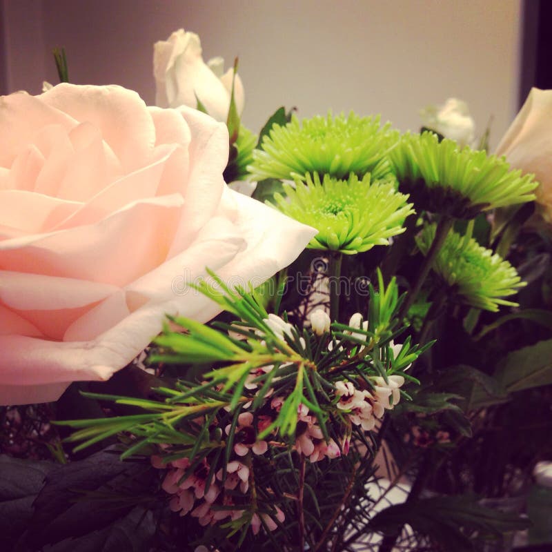 Roses and mums stock image. Image of roses, lime, bouquet - 54442503