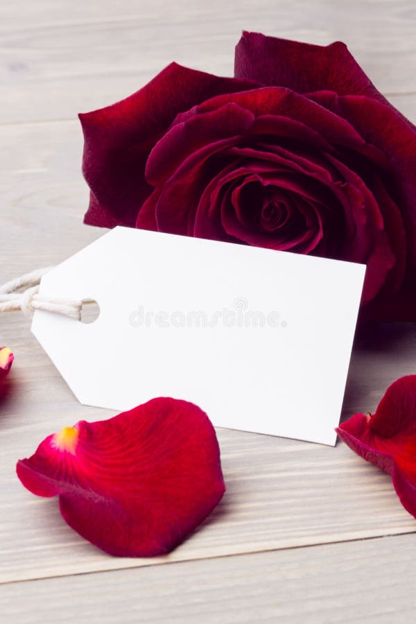 Roses with note stock image. Image of pure, beautiful - 255407087