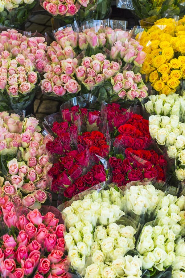 Roses Offered at the Night Flower Market Stock Photo - Image of ...
