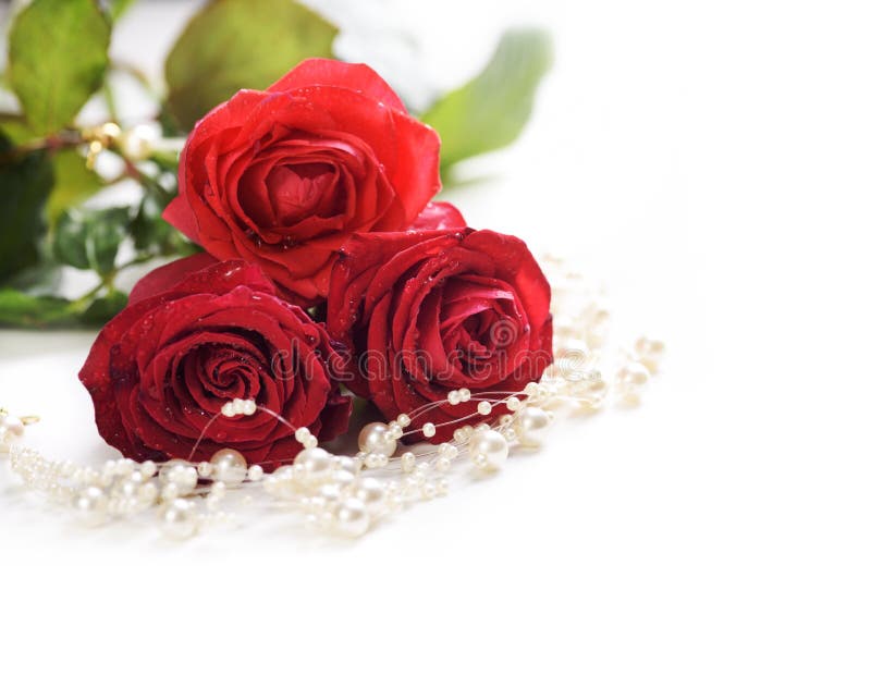 Beautiful Red Roses With Pearls