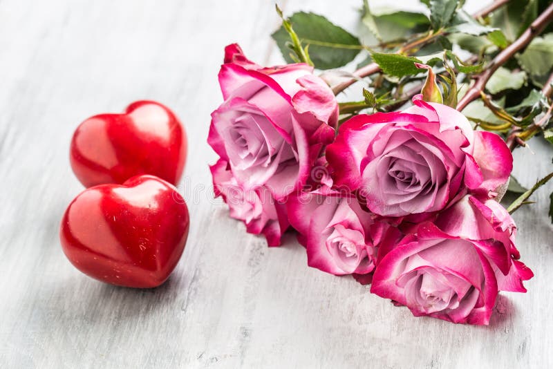 Roses. Pink Roses with Two Hearts and Red Gift Stock Photo - Image of ...