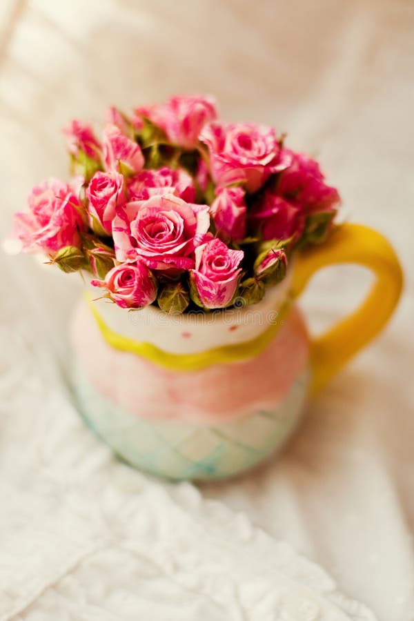 Roses in pitcher stock photo. Image of floral, blooming - 41870750